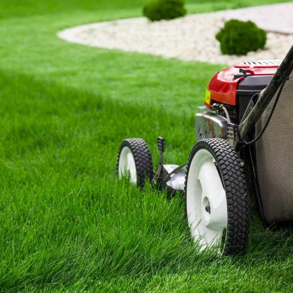 Cornwall Devon Lawn Care Home Page